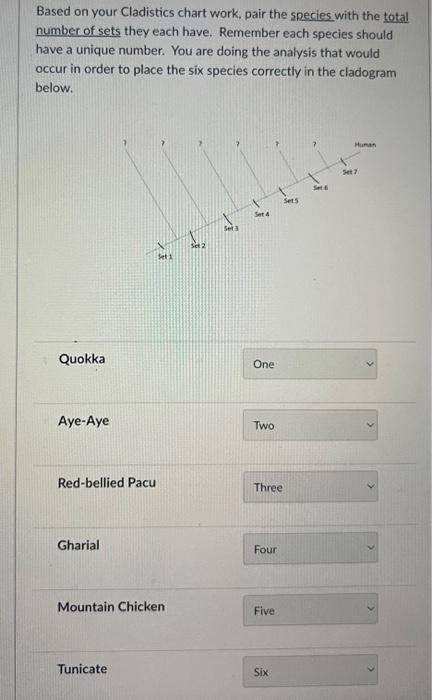 Based on your Cladistics chart work, pair the species | Chegg.com