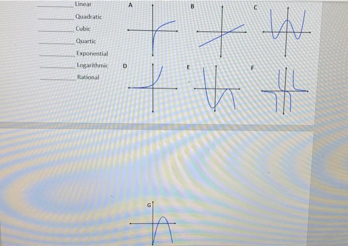 Solved Linear A B с Quadratic Cubic Quartic Exponential | Chegg.com