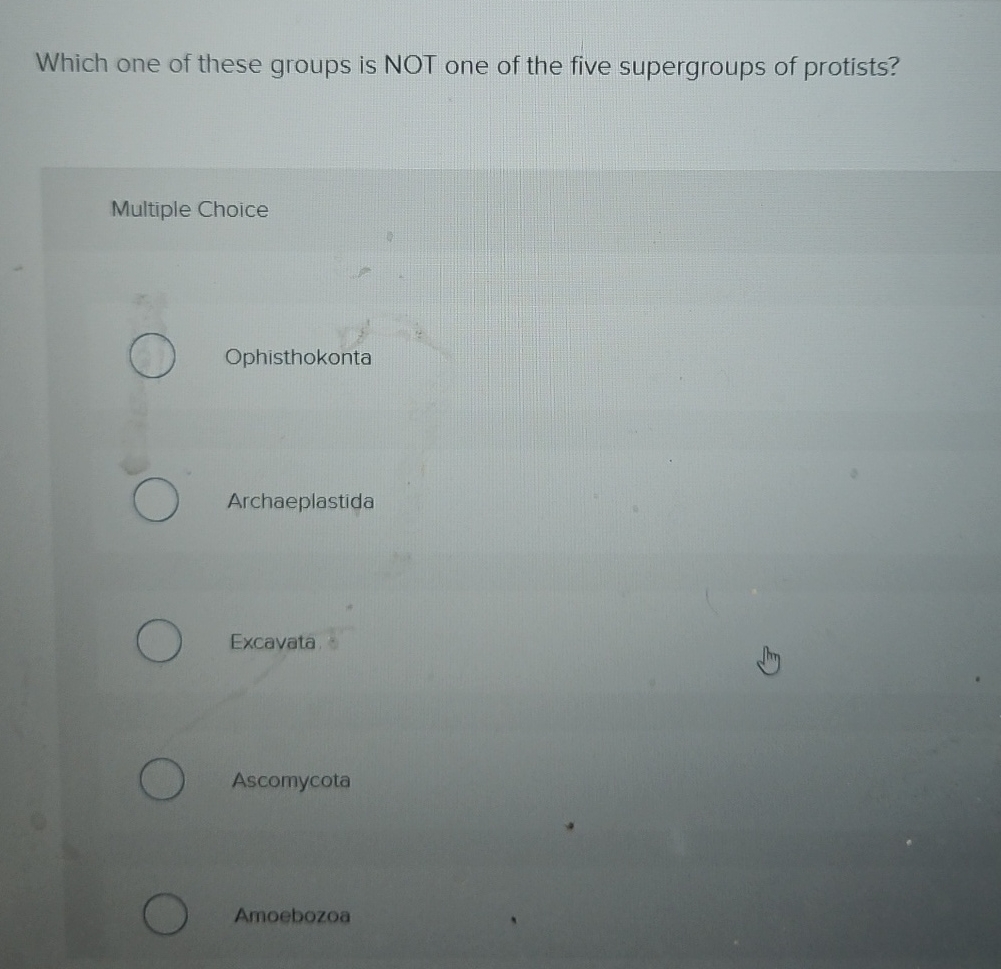 Solved Which one of these groups is NOT one of the five | Chegg.com