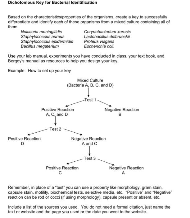 Solved Based on the characteristics/properties of the | Chegg.com