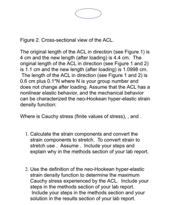 Solved Lab #6: Displacement Gradient and Constitutive | Chegg.com