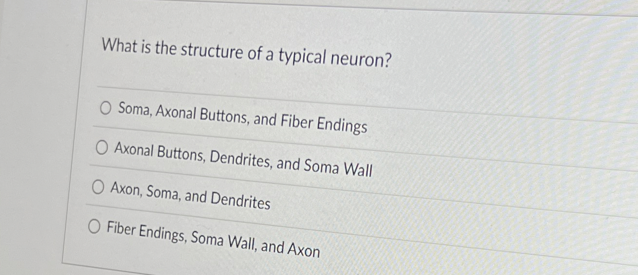 Solved What is the structure of a typical neuron?Soma, | Chegg.com