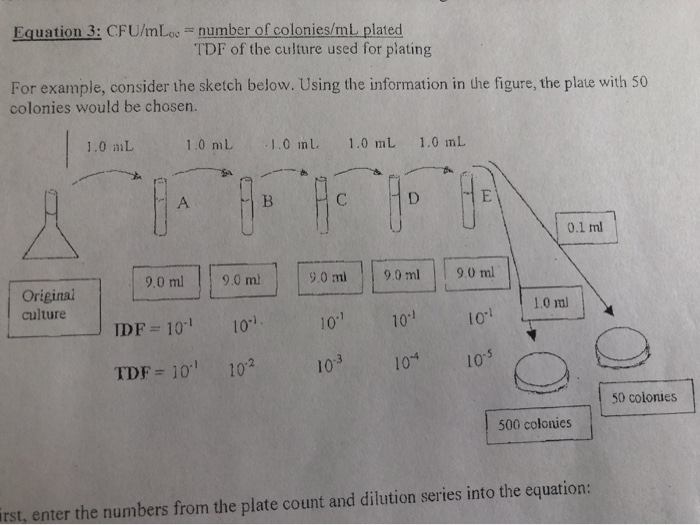 Solved Equation 3: CFU/mL = number of colonies/mL plated TDF | Chegg.com