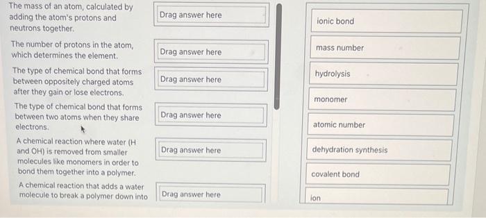 Solved The mass of an atom, calculated by adding the atom's | Chegg.com