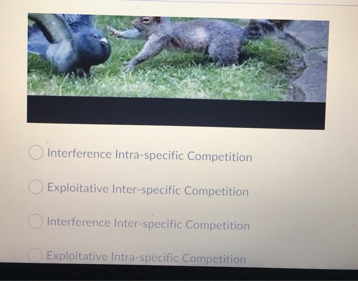 Solved O Interference Intra-specific Competition | Chegg.com