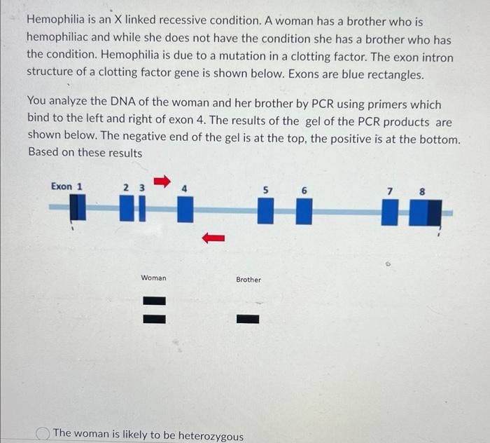 Solved Hemophilia is an X linked recessive condition. A | Chegg.com