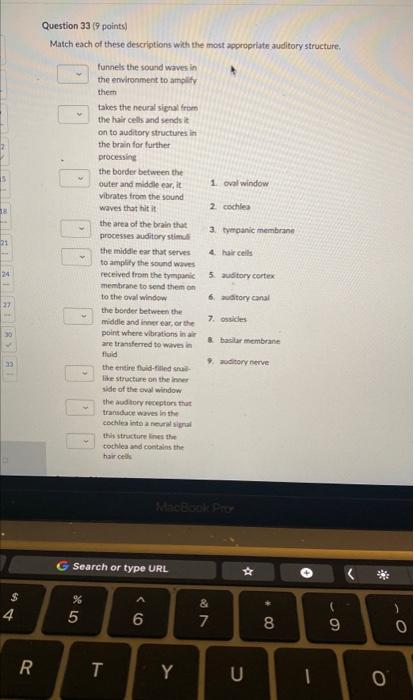 Solved Question 33 ( 9 points) Match each of these | Chegg.com