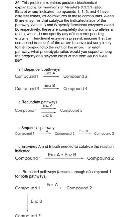 Solved 36. This problem examines possible biochemical | Chegg.com