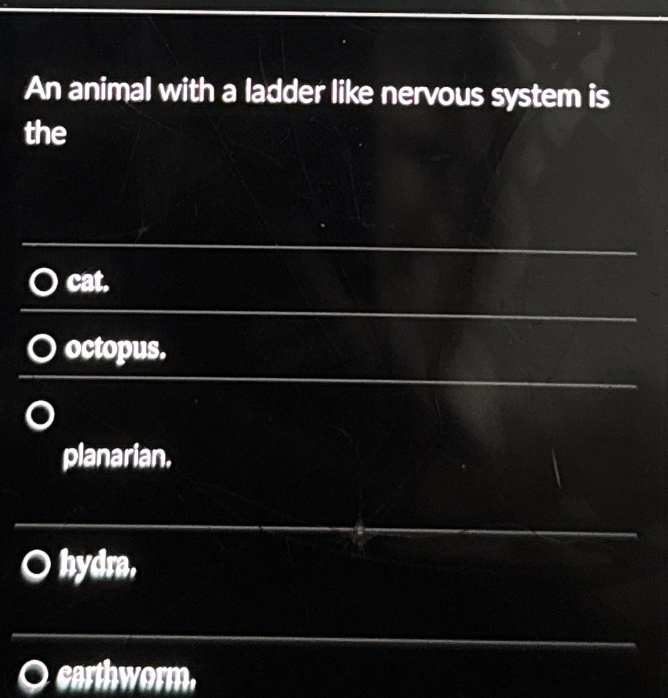Solved An animal with a ladder like nervous system is theO | Chegg.com