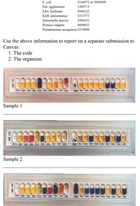 Solved Canvas does not need to be used for this, I am trying | Chegg.com