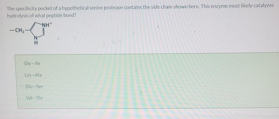 Solved The specificity pocket of a hypothetical serine | Chegg.com