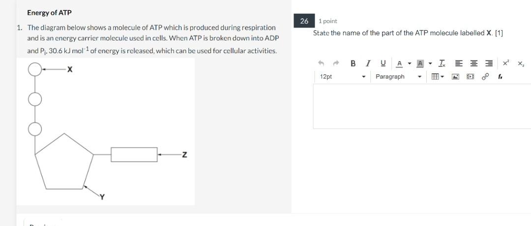 Solved 1. The diagram below shows a molecule of ATP which is | Chegg.com