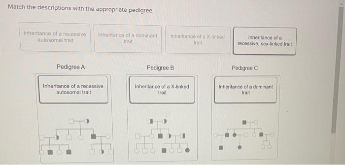Solved Ma | Chegg.com