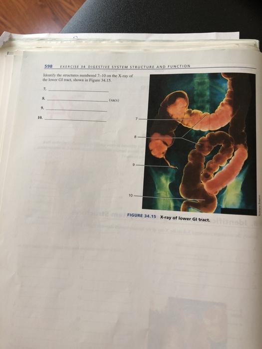 Solved Section Date EXERCISE Name Using Your Knowledge 34 A. | Chegg.com