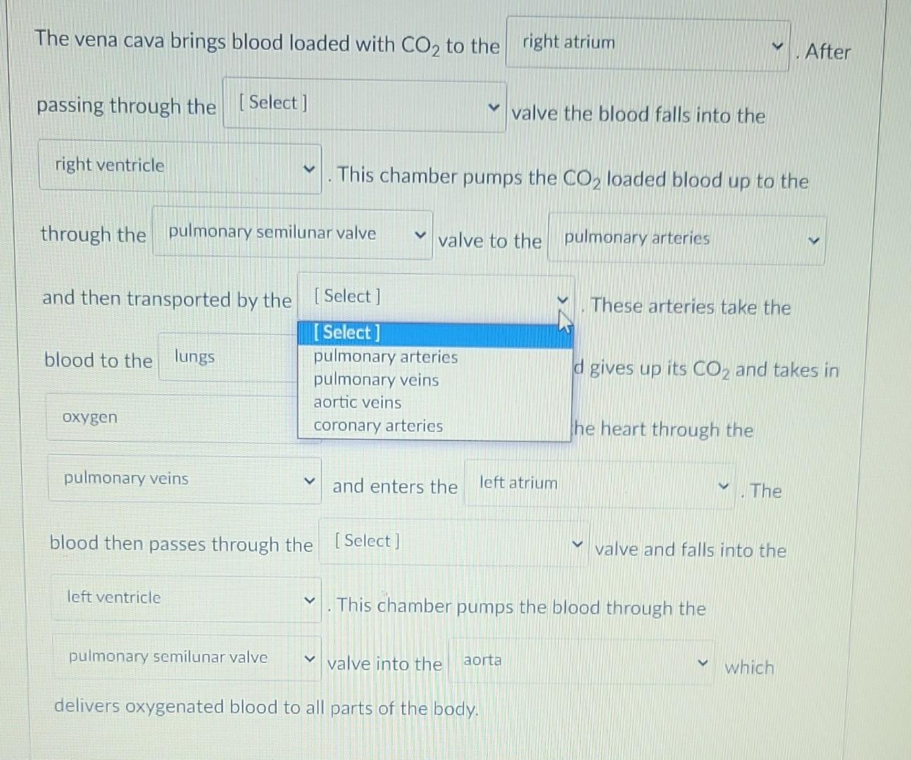Solved The vena cava brings blood loaded with CO2 to the | Chegg.com
