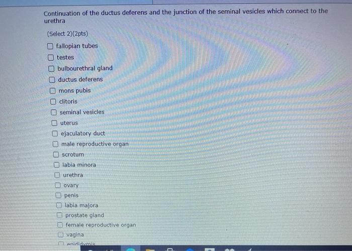 Solved Elongated, hair covered skin folds analogous to the | Chegg.com