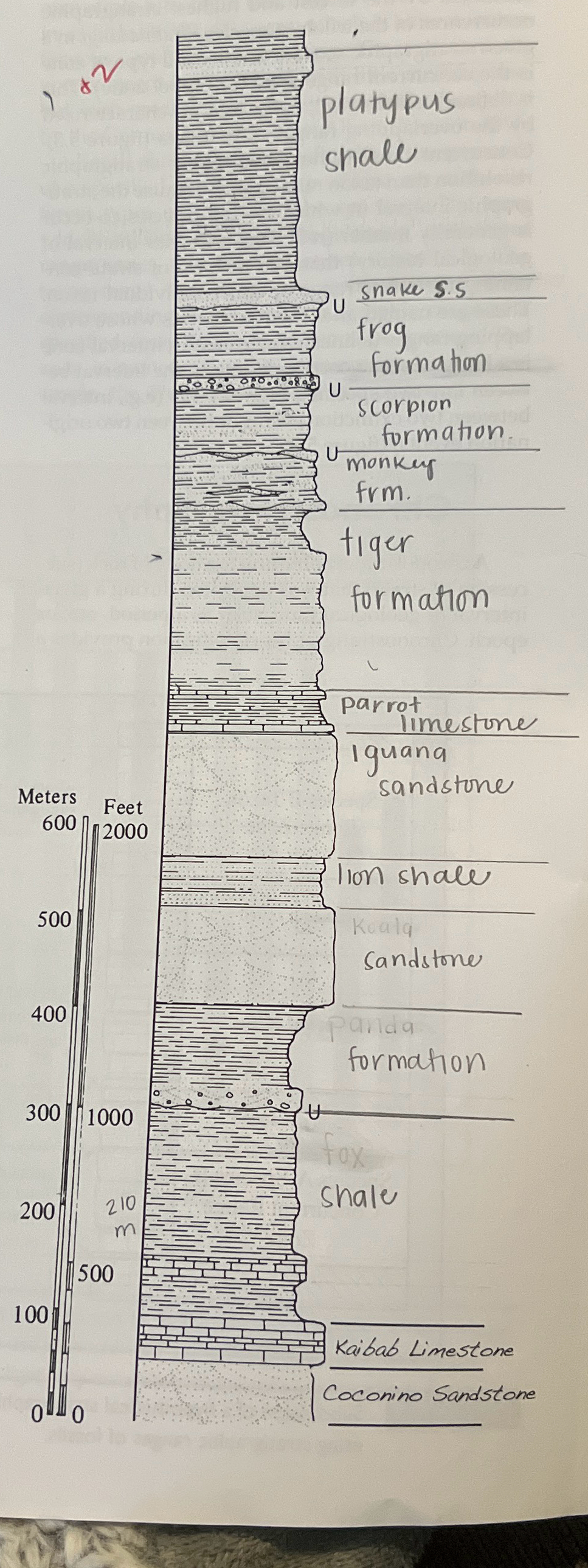 Solved Based on your analysis of the column, subdivide the | Chegg.com