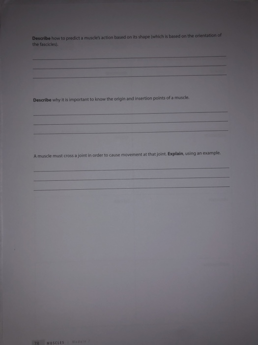 Solved PRE-LAB HOMEWORK MODULE 7 Describe and name an | Chegg.com