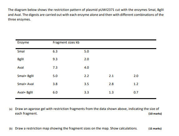 Solved The diagram below shows the restriction pattern of | Chegg.com