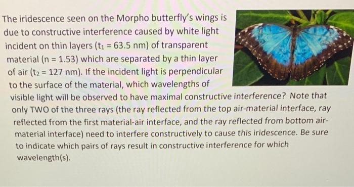 Solved The iridescence seen on the Morpho butterfly's wings | Chegg.com