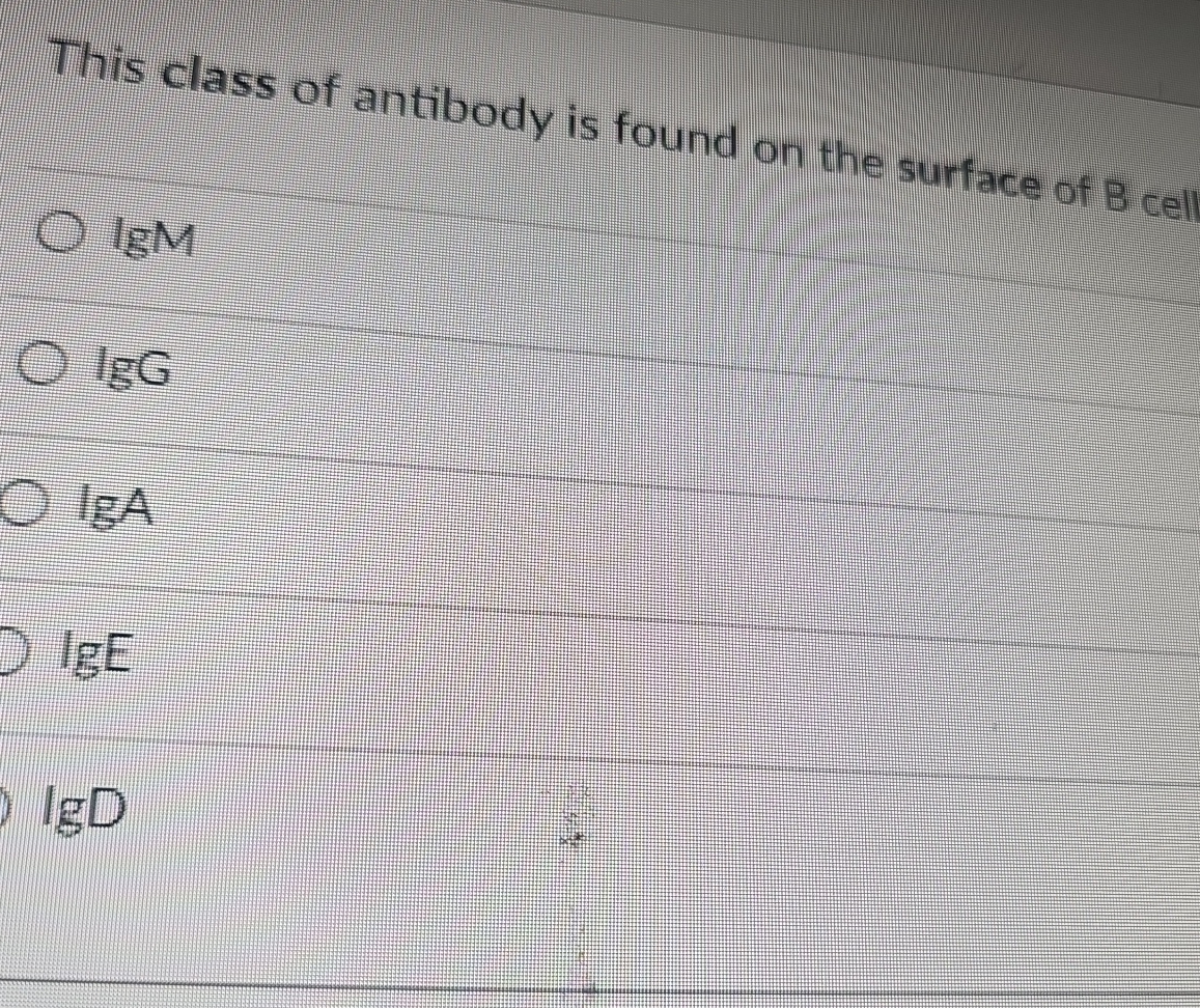 Solved This class of antibody is found on the surface of B | Chegg.com