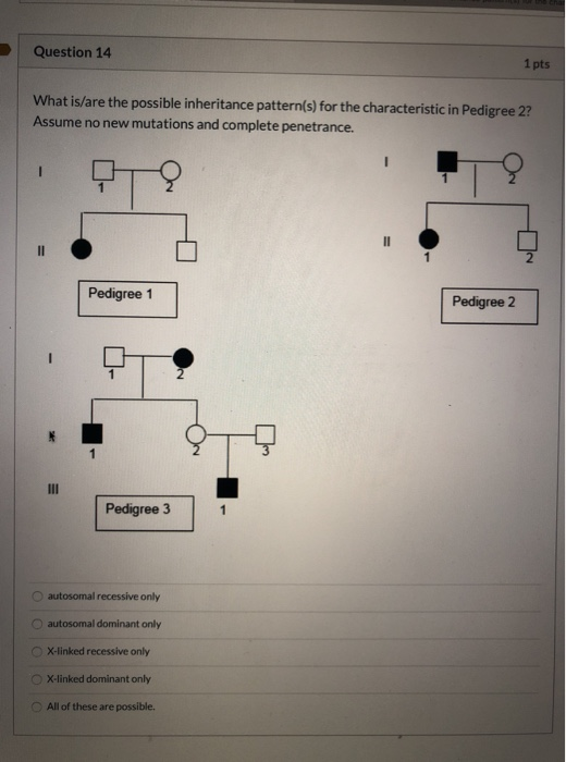 Solved Question 14 1 Pts What Is Are The Possible