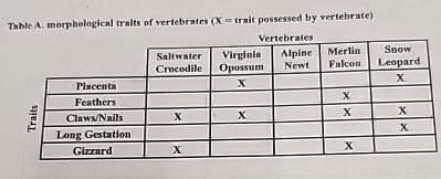 using morphological traits shown in table a construct | Chegg.com