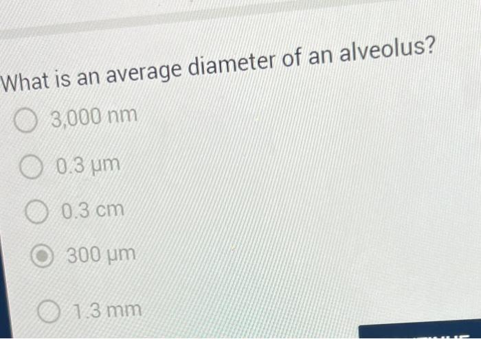 Solved What is an average diameter of an alveolus? O 3,000 | Chegg.com