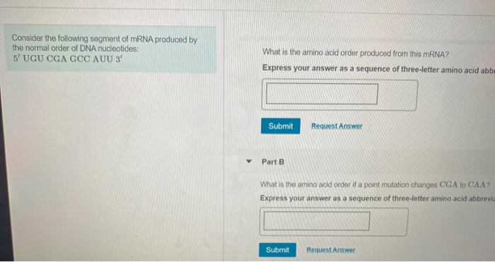 Solved Consider the following segment of mRNA produced by | Chegg.com