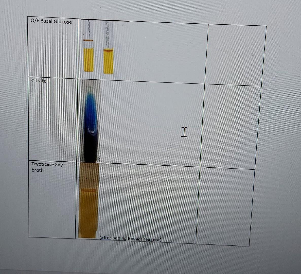 Solved Laboratory Unknown Assignment The goal of this | Chegg.com