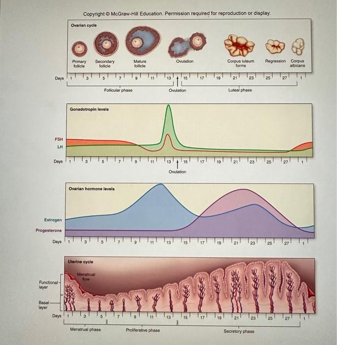 Solved answers 1-28 please | Chegg.com