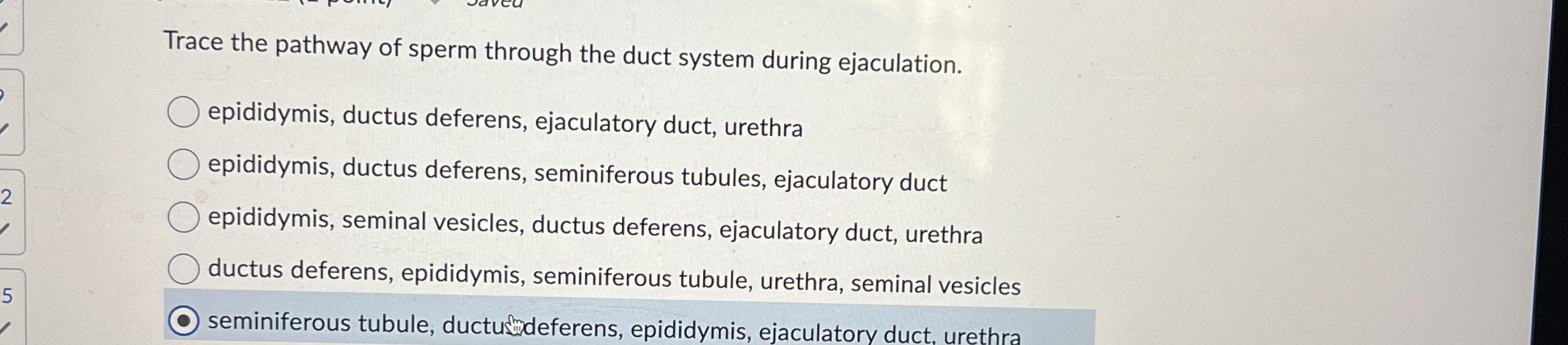 Trace the pathway of sperm through the duct system | Chegg.com