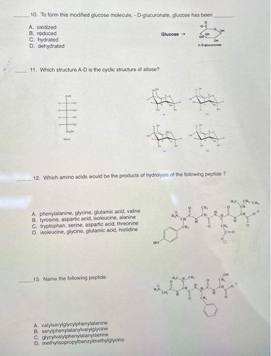 Solved 10. To form this modified glucose molecule, - | Chegg.com