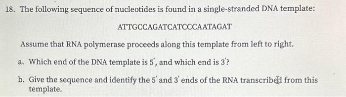 Solved 18. The following sequence of nucleotides is found in | Chegg.com