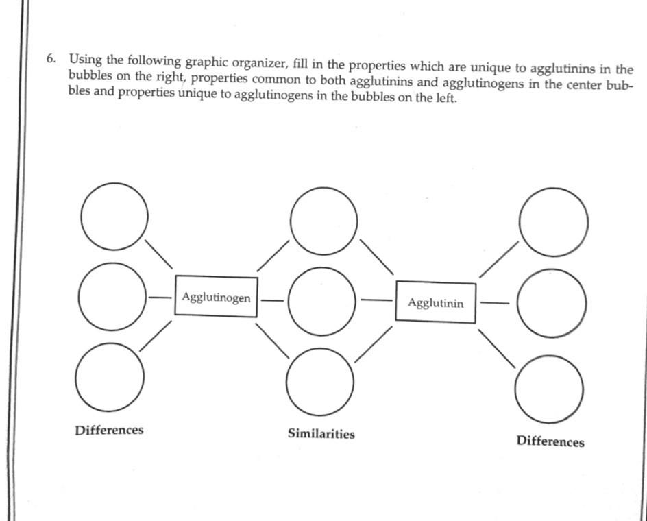 Solved Using the following graphic organizer, fill in the | Chegg.com