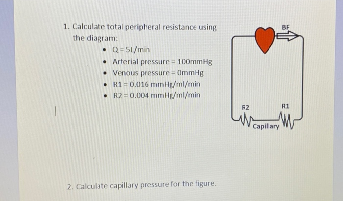 Solved BF 1. Calculate total peripheral resistance using the | Chegg.com