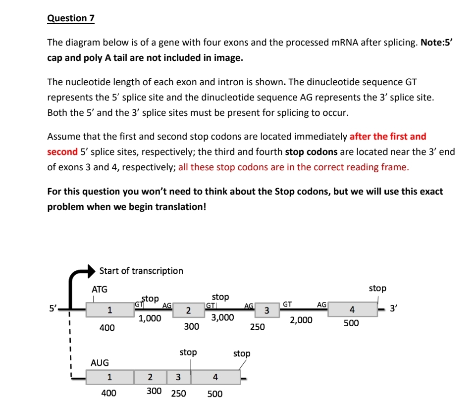 Solved PLEASE RAE ANSWER, DO NOT GIVE TEXT ANSWER.Question | Chegg.com
