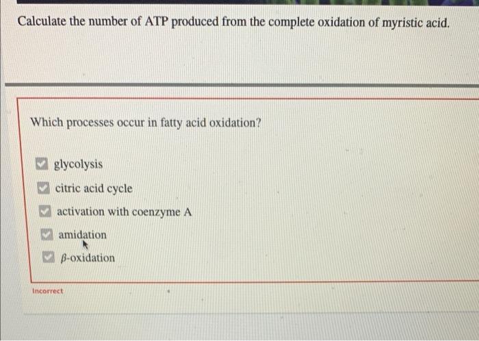 Solved Calculate the number of ATP produced from the | Chegg.com