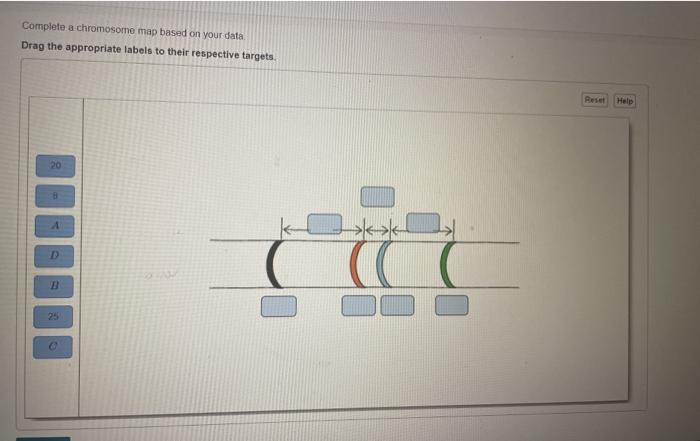 Solved How can you determine the recombination frequencies | Chegg.com