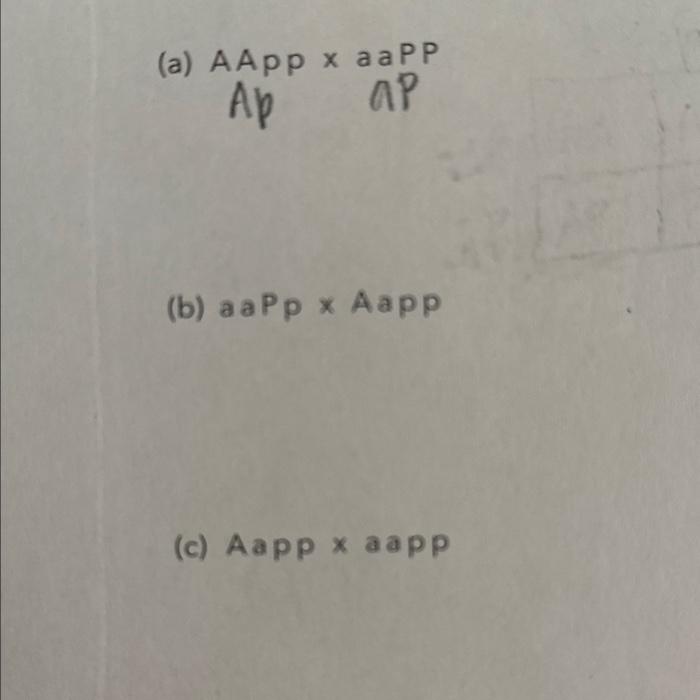 Solved (a) AApp x aaPP (b) aaPp x Aapp (c) Aapp x aapp | Chegg.com