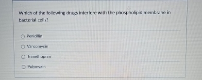 Solved Which of the following drugs interfere with the | Chegg.com