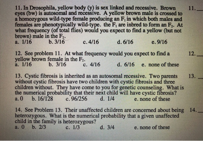 Solved 12. 11. In Drosophila, yellow body (y) is sex linked | Chegg.com