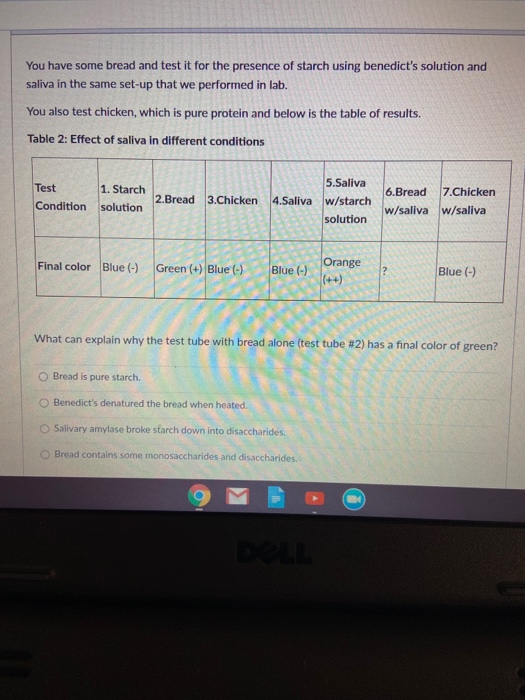 Solved You have some bread and test it for the presence of | Chegg.com