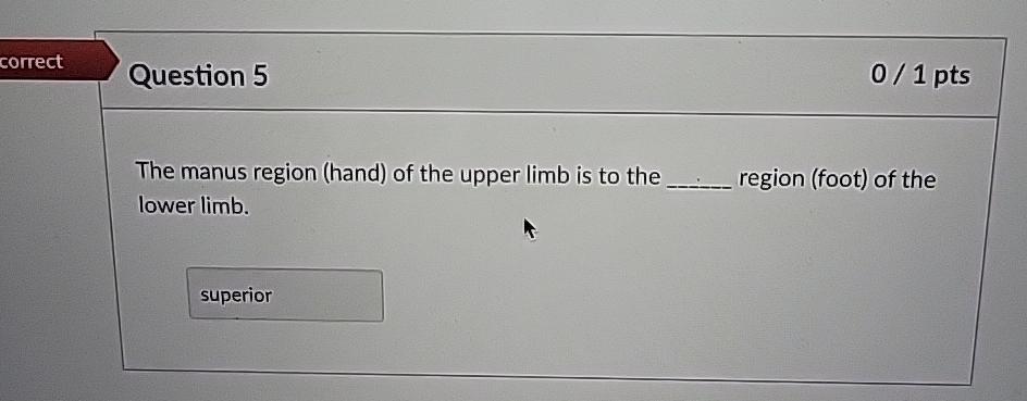 Solved Question 501 ﻿ptsThe manus region (hand) ﻿of the | Chegg.com