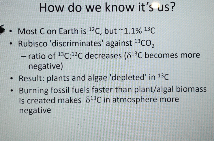 Solved How do we know it's us?Most C ﻿on Earth is ?12C, ﻿but | Chegg.com