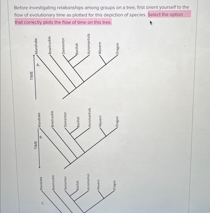 Solved Please solve. I know that the answer is not diagram B | Chegg.com