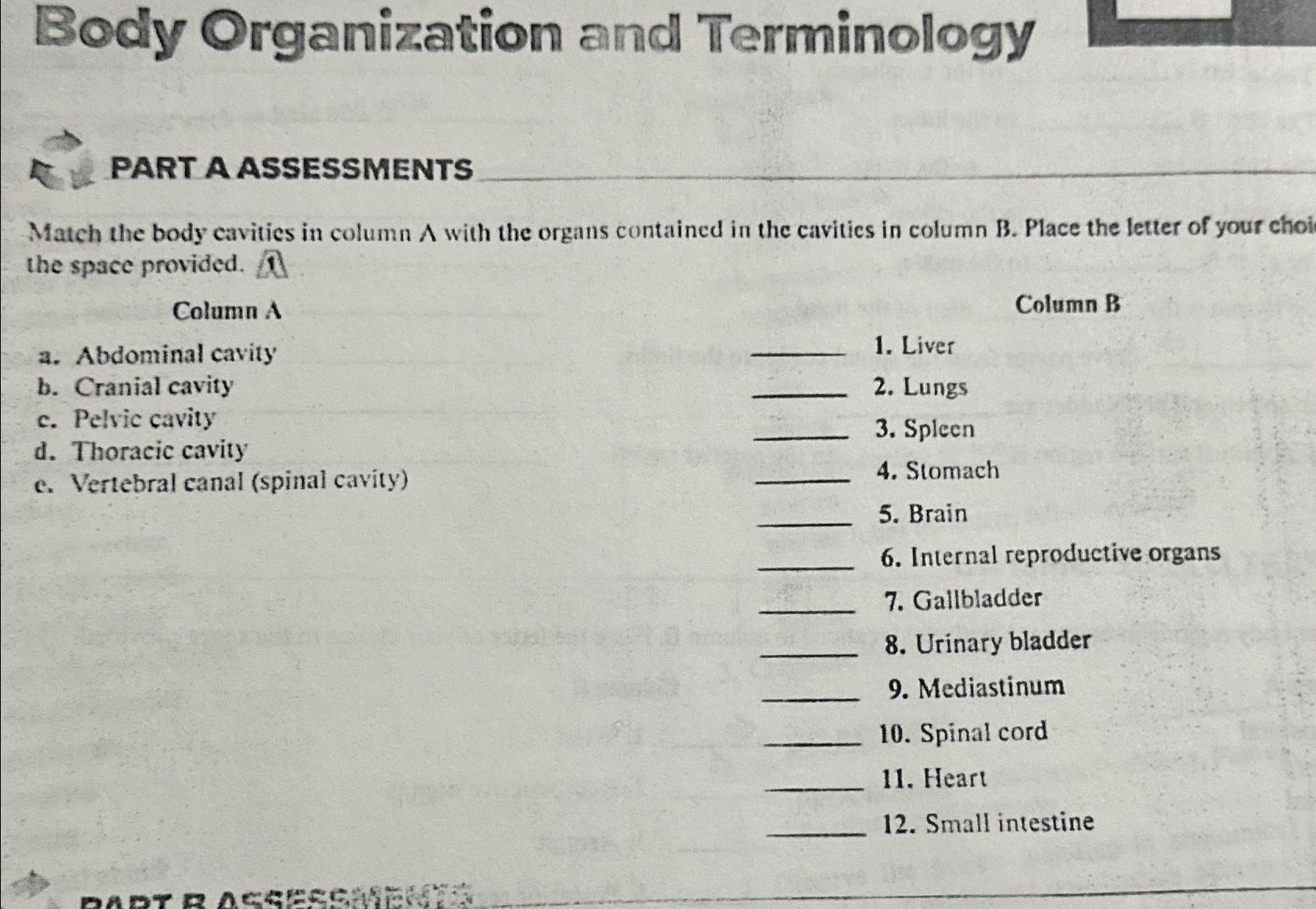 Solved Body Organization and TerminologyPART A | Chegg.com