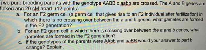 Solved Two pure breeding parents with the genotype AABB x | Chegg.com