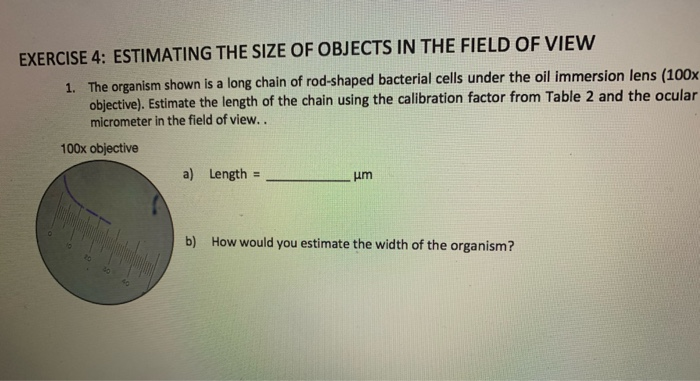 Solved EXERCISE 4: ESTIMATING THE SIZE OF OBJECTS IN THE | Chegg.com