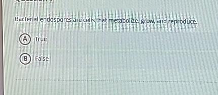 Solved Bacterial endospores are cells that metabolize. grow, | Chegg.com